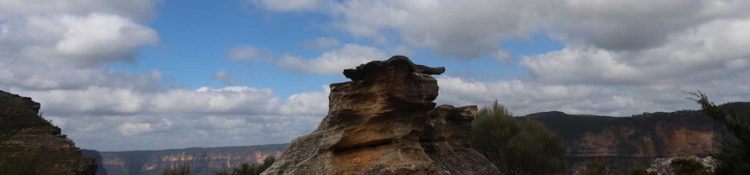 Why is the Blue Mountains protected?